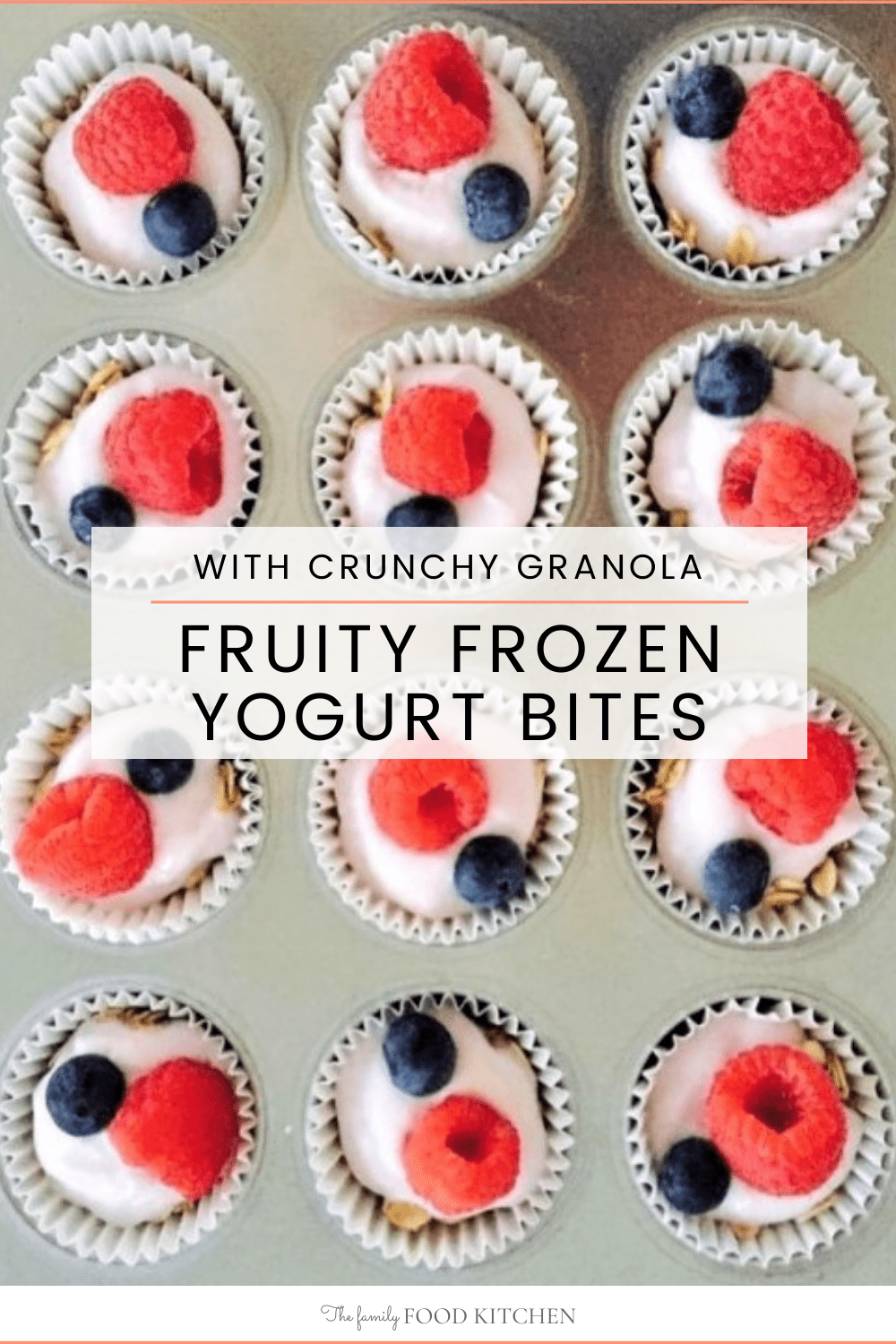 Fruity Frozen Yogurt Bites with Crunchy Granola - The Family Food Kitchen