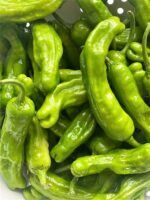 Roasted Shishito Peppers with Dipping Sauce - The Family Food Kitchen