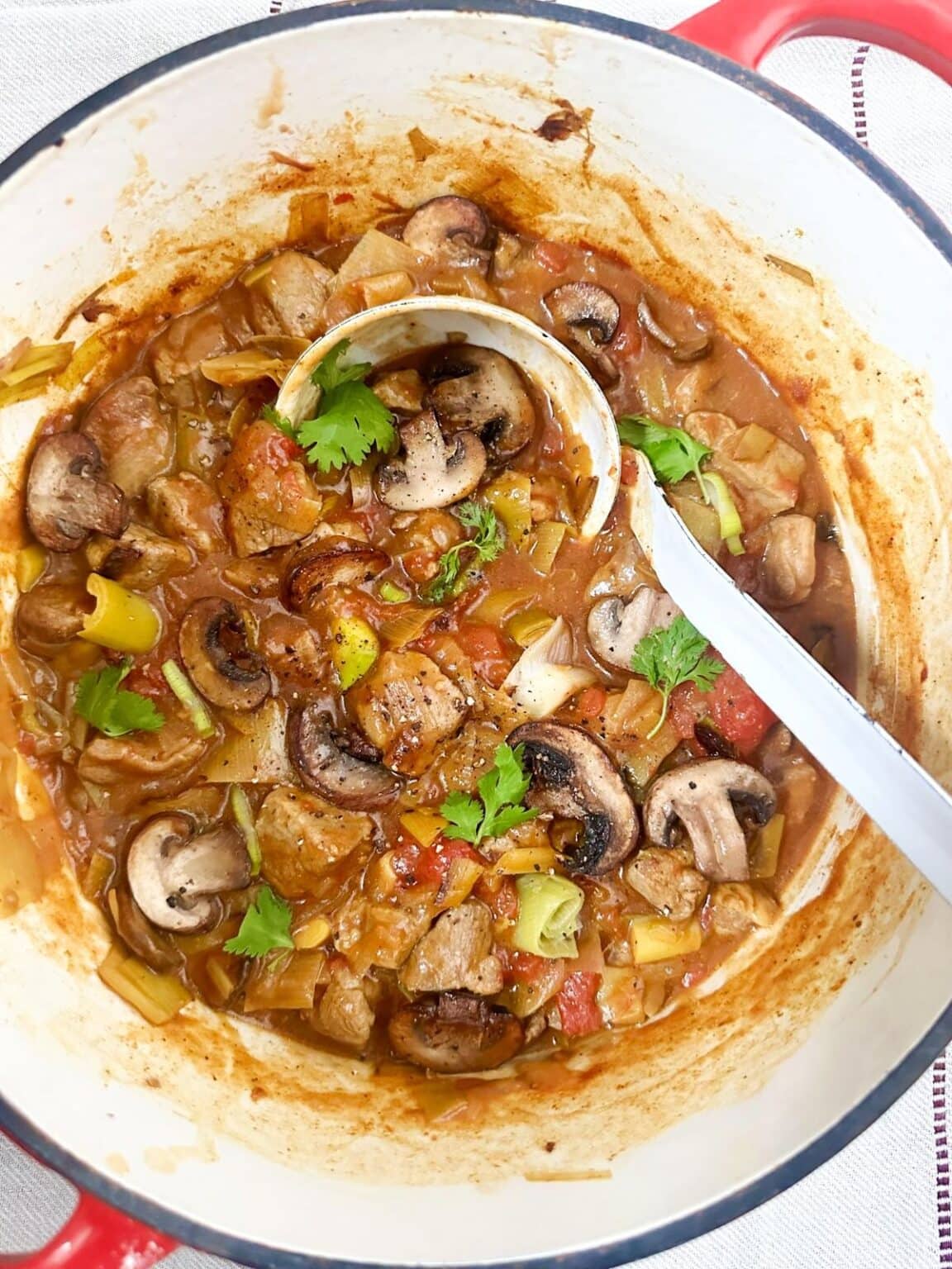 Easy Pork Curry with Mushrooms (Tomato Base) - The Family Food Kitchen